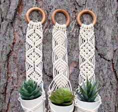 Handmade Plant Holder Manufacturer